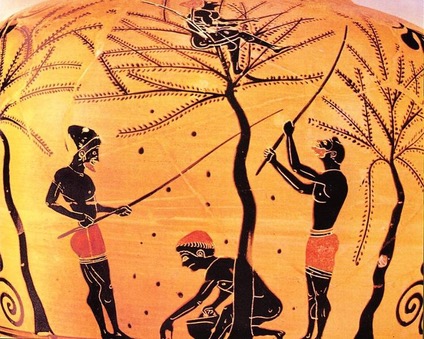 Ancient people picking olives