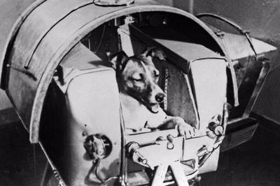 Laika: First dog in Space