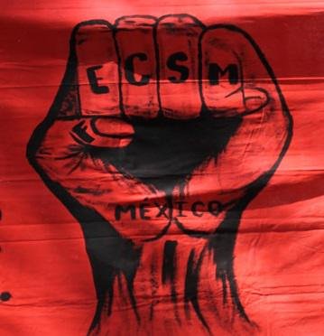 Logo representativo: FECSM