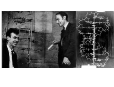 1953
