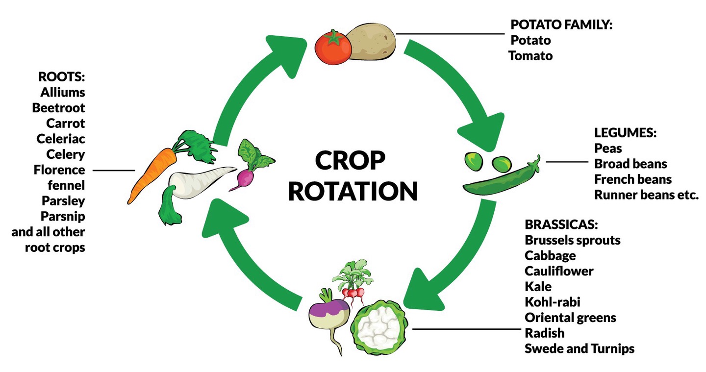 Crop Rotation Agricultural Revolution