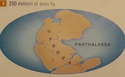 L'origine dei continenti