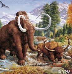 65 million years ago they emerged from the age of the mammals, The ...