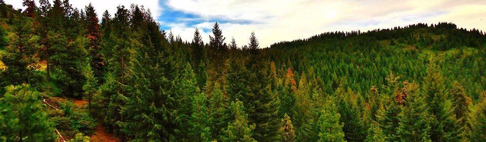 Overhead view of Boise Basin Mountains
