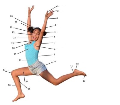 abodmen, ankle, arm, armpit, back, bottom, brain, calf, chest, chin ...