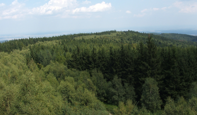 A bőséges csapadék miatt az Alpokalja élővilága igen gazdag. A hegység ...