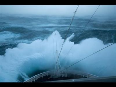 A hurricane at sea sinks Roz's ship.