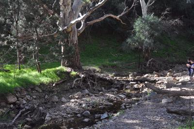 This is apart of the Morialta Gorge (fourth creek).