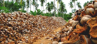 http://www.tidalimpex.com/blog/a-note-on-the-environmental-benefits-of ...