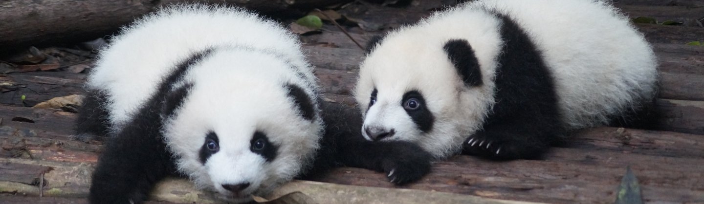 To print the story please do so via the link in the story toolbar.