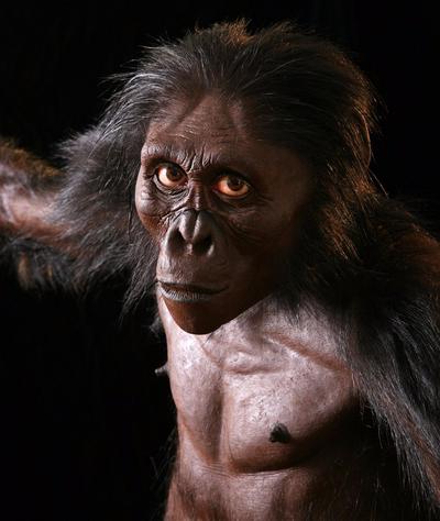 Graecopithecus freybergi