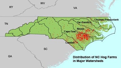 A map showing the density of hog farms in each NC river basin (EJAtlas)