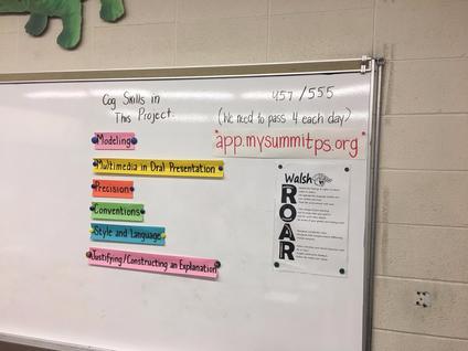 These terms describe the cognitive skills used in many of the projects ...