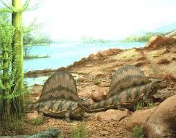 Cambrian Period (540 to 490 million years ago)