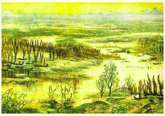 470 million years: First Plants on Earth