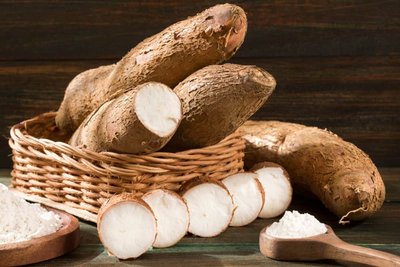 The most common Taino crops were root vegetables, like the cassava ...