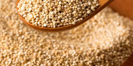 The Inca Empire's developed breeds of crops like potatoes, quinoa and corn.