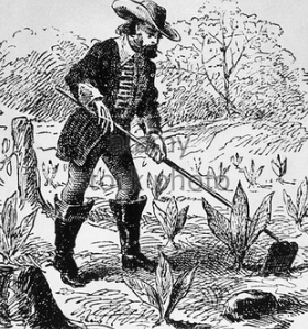 John Rolfe introduced tobacco to Jamestown - 1611