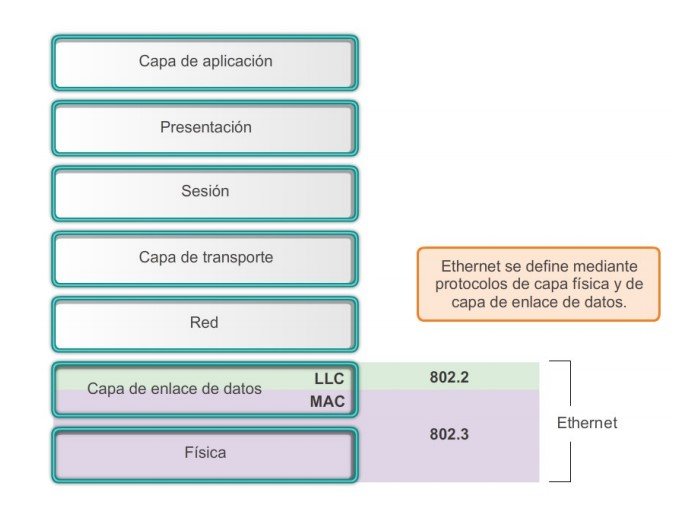 Subcapas LLC y MAC (Imagen)
