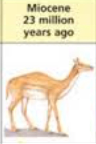 now you can actually see the hump a little bit, this was 23 million ...