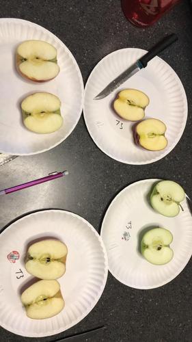 Trial Three, 10 mins of Exposure