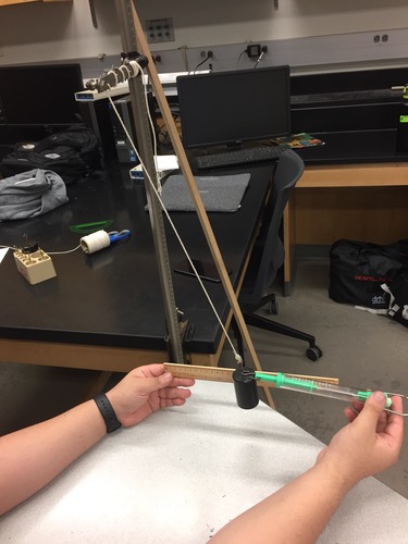 16cm