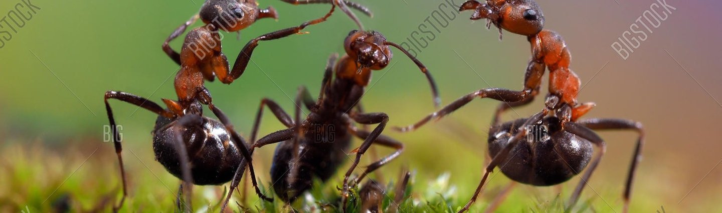 To print the story please do so via the link in the story toolbar.