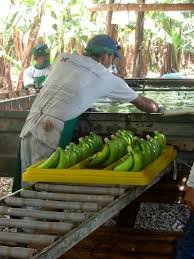 CLASIFICACIÓN.