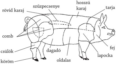 Hazánkban a baromfihús mellett a sertéshús a legkedveltebb húsféle, bár ...