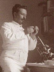 Source: https://thirdplaguepandemic.wikispaces.com/Paul-Louis+Simond