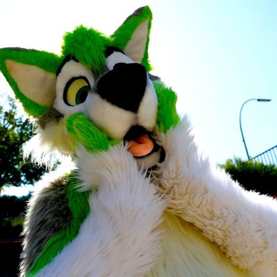 * Fursona: refers to a character, persona, alter-ego, or identity of an ...