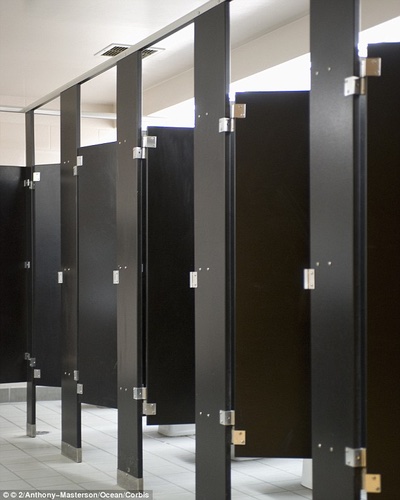 Girl's Bathroom school- The place where Lev, Risa and Connor hide in ...