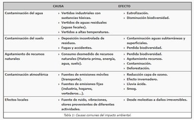 De este modo, las causas del impacto ambiental pueden resumirse en: