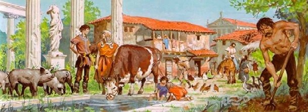 SANSÓ MASCARÓ JOANA MARIA