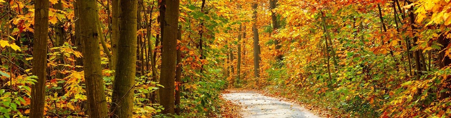 To print the story please do so via the link in the story toolbar.