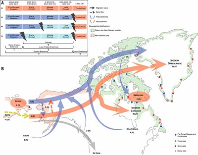Settlement and origin of various Arctic communities in Northern America.