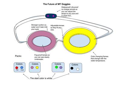 The Future of MT Goggles