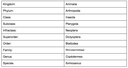 #3 Termites, Part of Domain Eukaryota, Since there are nearly 2750 ...
