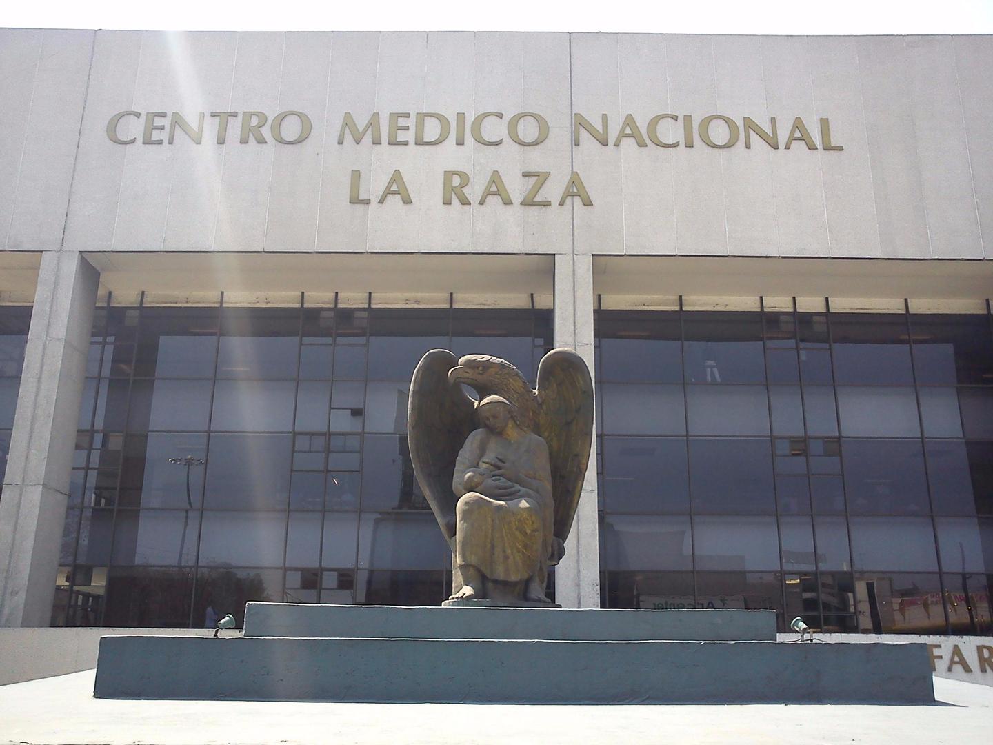 Federico Cantú crea la escultura Nuestra Señora del Seguro Social, en ...