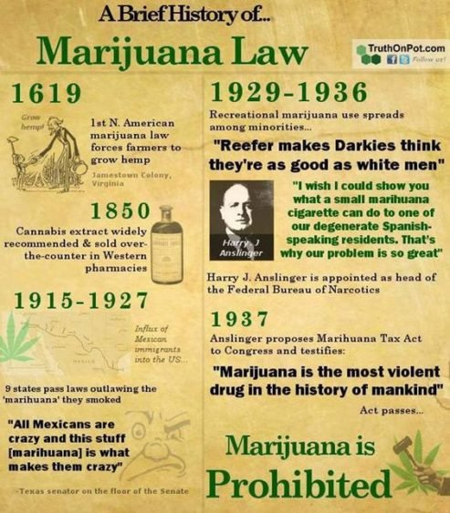 "History of Marijuana: An All-Encompassing Journey Through The Ages ...