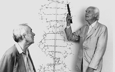 Discovery of DNA