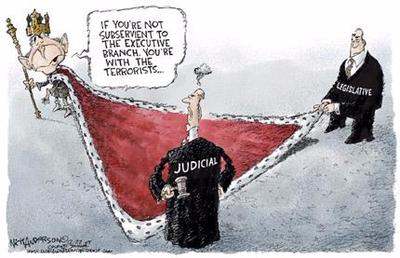 Checks And Balances Political Cartoon