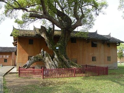 Jiangxi Soviet (1930) - Political, Economic, Cultural