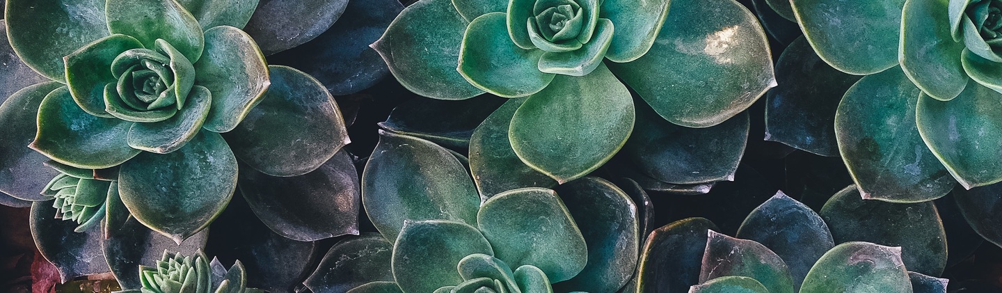 To print the story please do so via the link in the story toolbar.