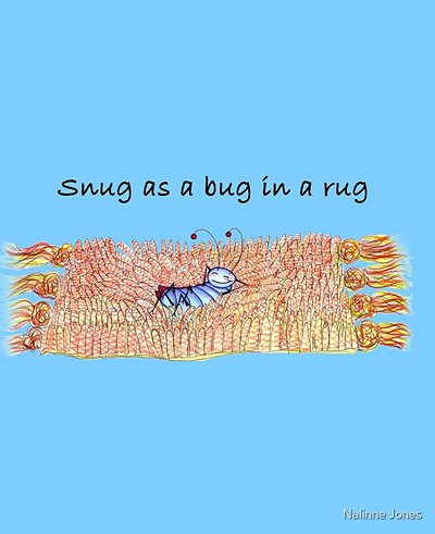 "Snug as a bug in a rug"