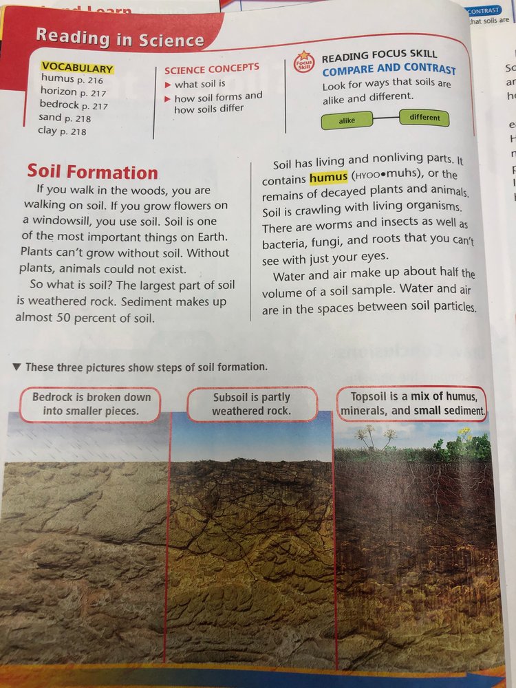 Soil Formation