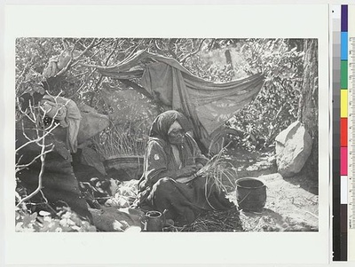 The Maidu used their resources to produce useful tools, such as basket ...