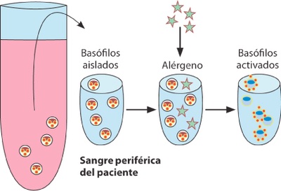 Prueba de Precipitina