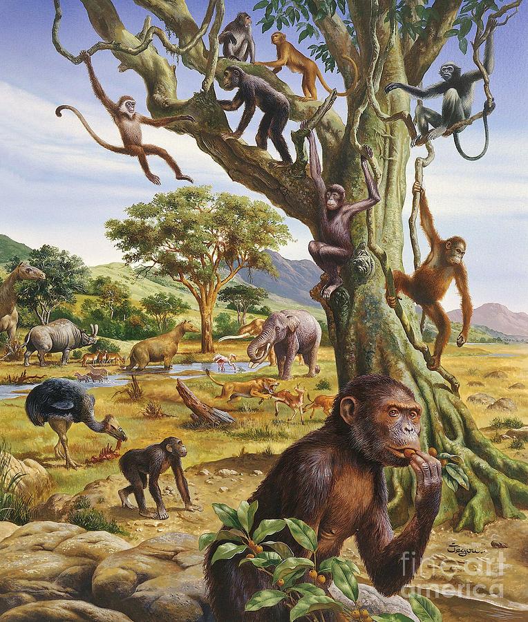 Cenozoic: The Cenozoic Era is the most recent of the three major ...