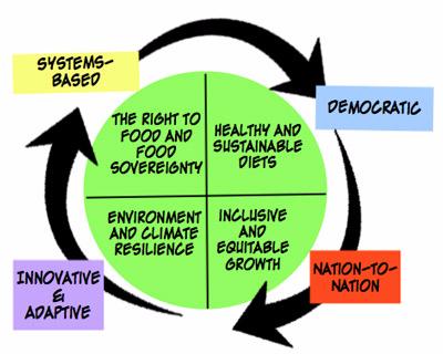 FSC Discussion Paper